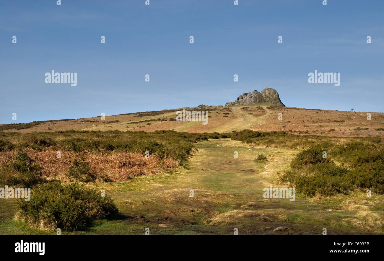 Haytor, Dartmoor National Park, Devon, England Stock Photo - Alamy