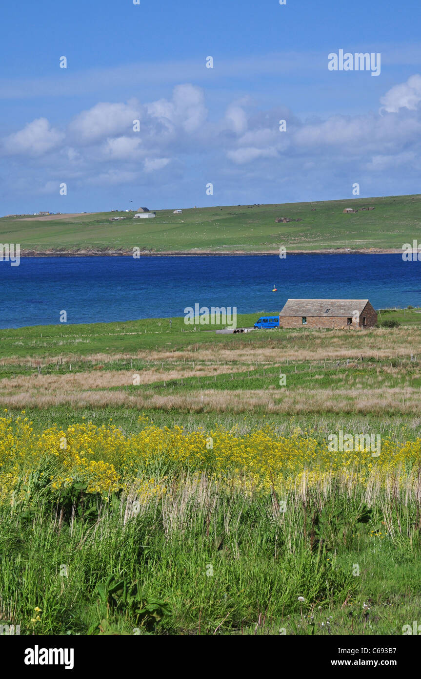 The farm cottage and pasturage at the Island of Hoy, Orkney, Scotland ...