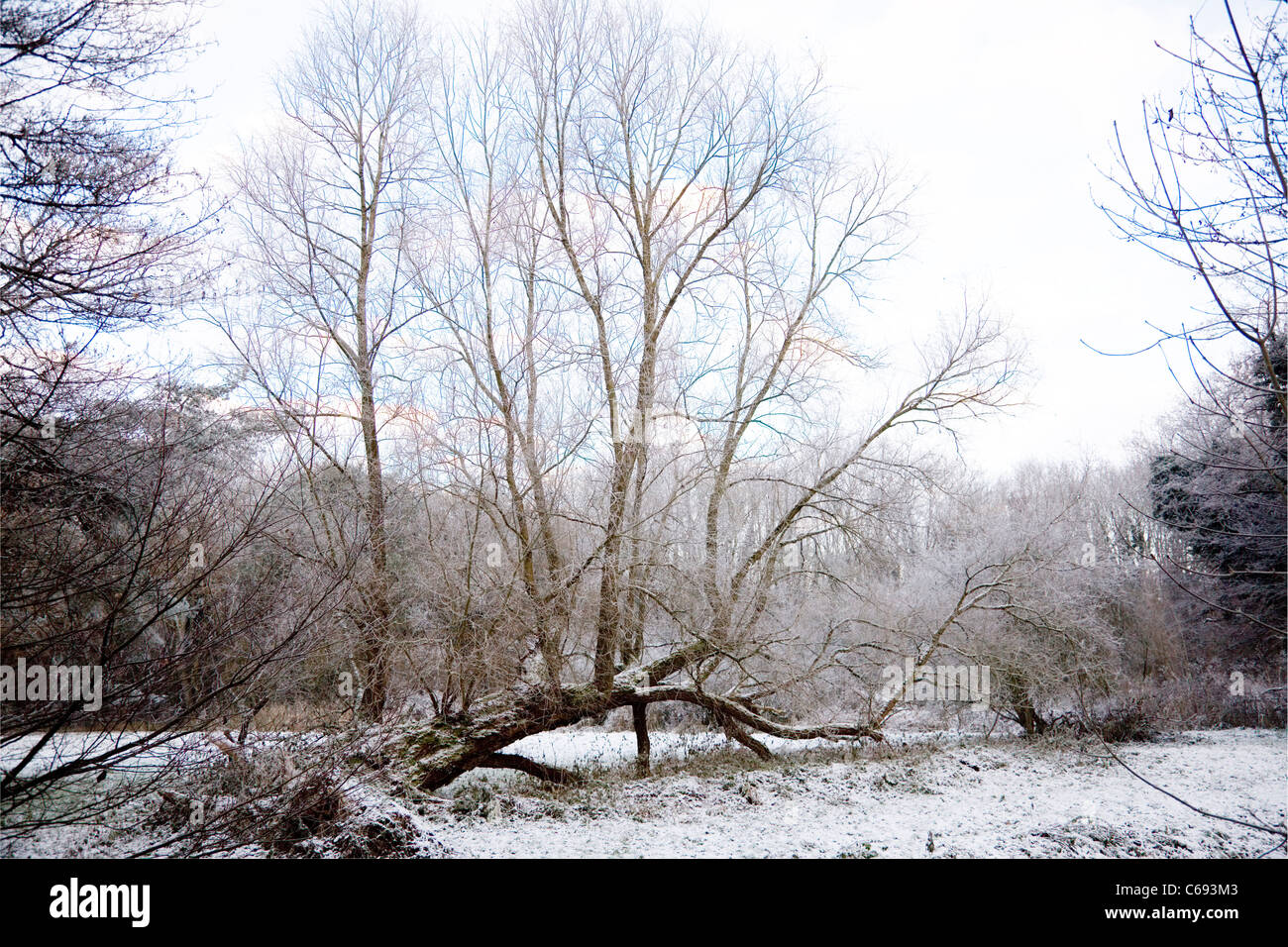 Bank see snow hi-res stock photography and images - Alamy