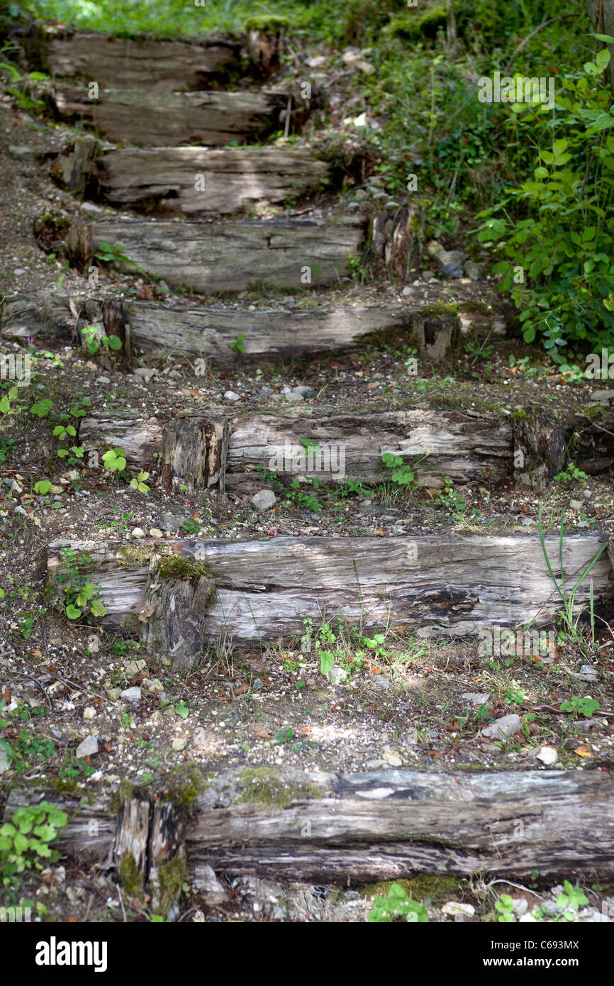 Wooden Steps on countryside path Stock Photo - Alamy