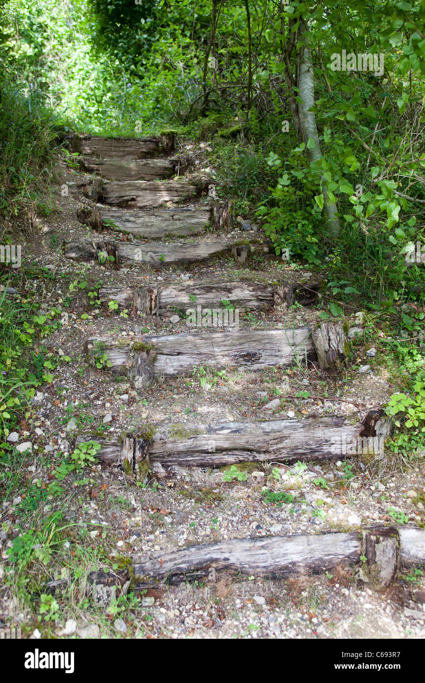 Wooden Steps on countryside path Stock Photo - Alamy