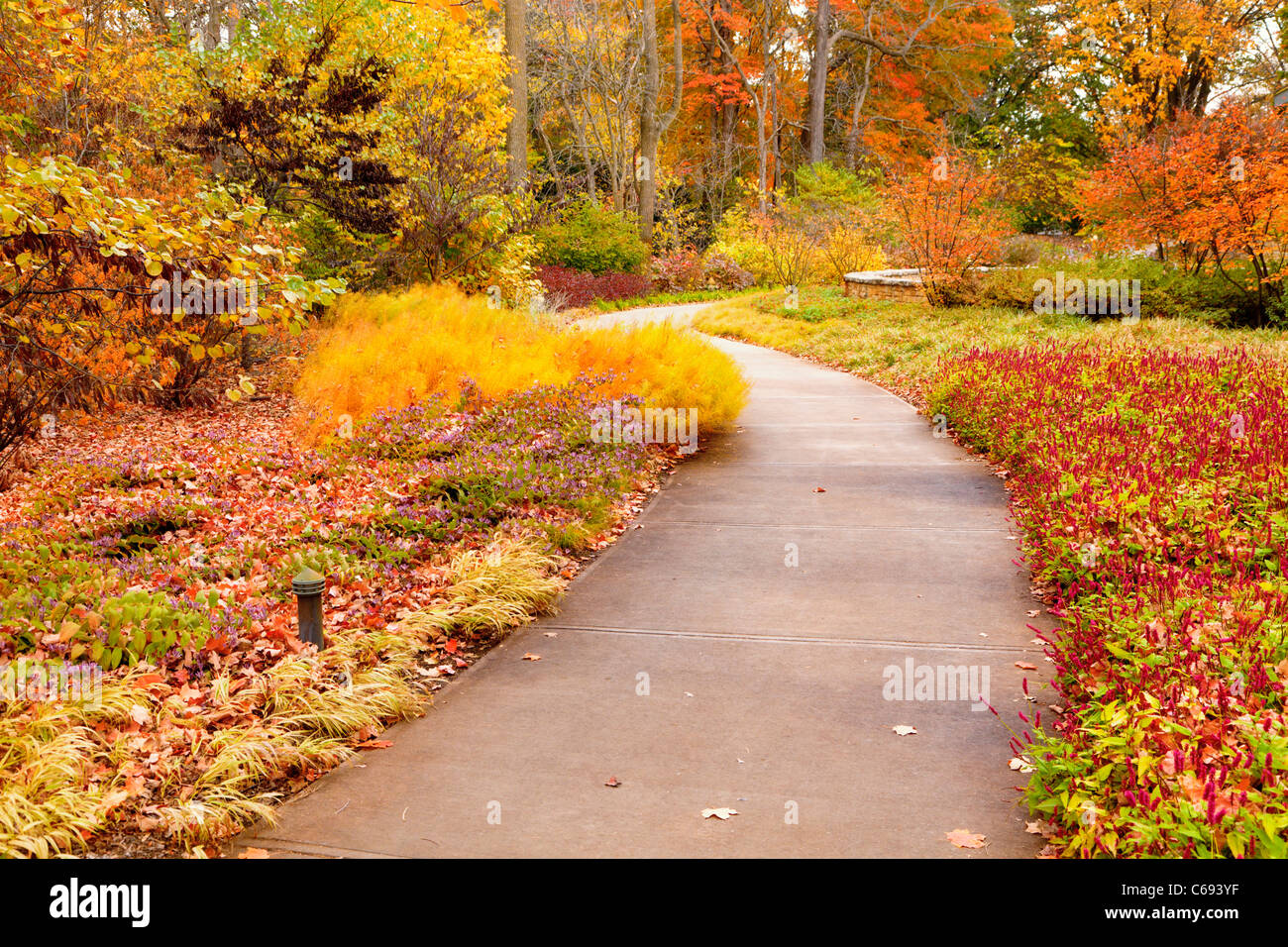 Autumn scenery in the park Stock Photo - Alamy