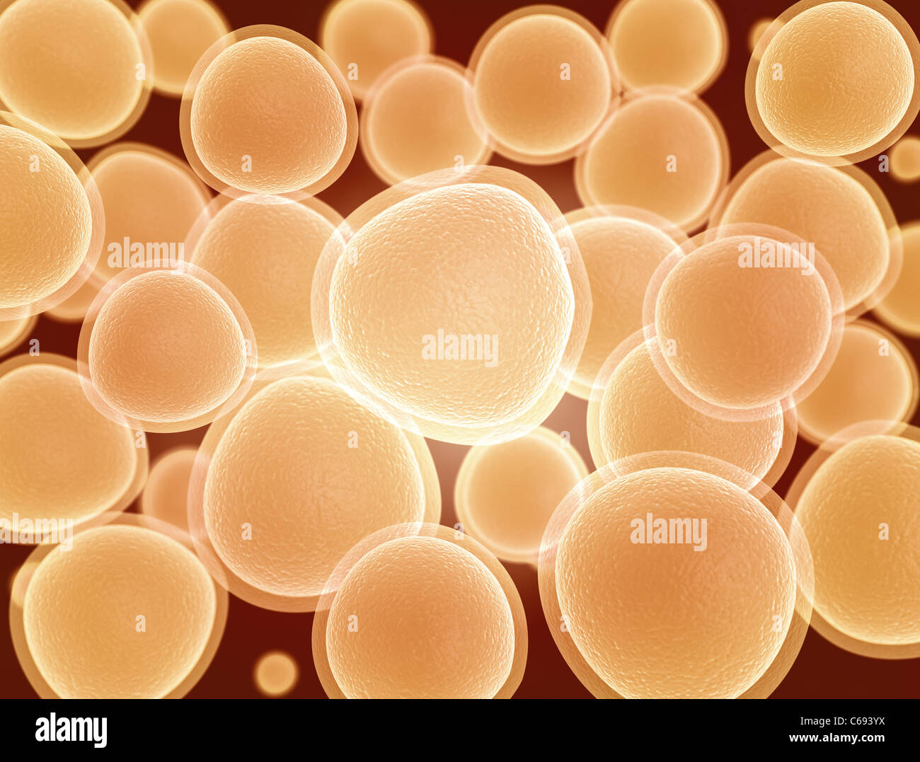 Cluster of cells 3d render Stock Photo - Alamy