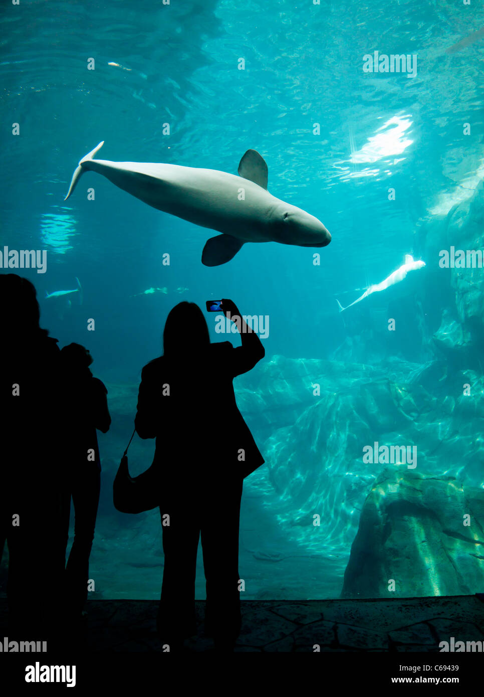 Marine visitors hi-res stock photography and images - Alamy