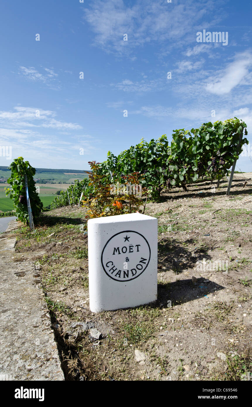 Vineyard trail sign hi-res stock photography and images - Alamy