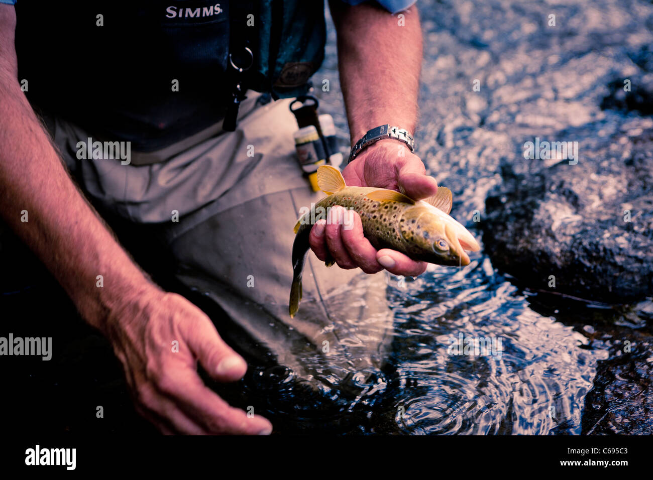 A man holds a live fish while kneeling in a river Stock Photo - Alamy