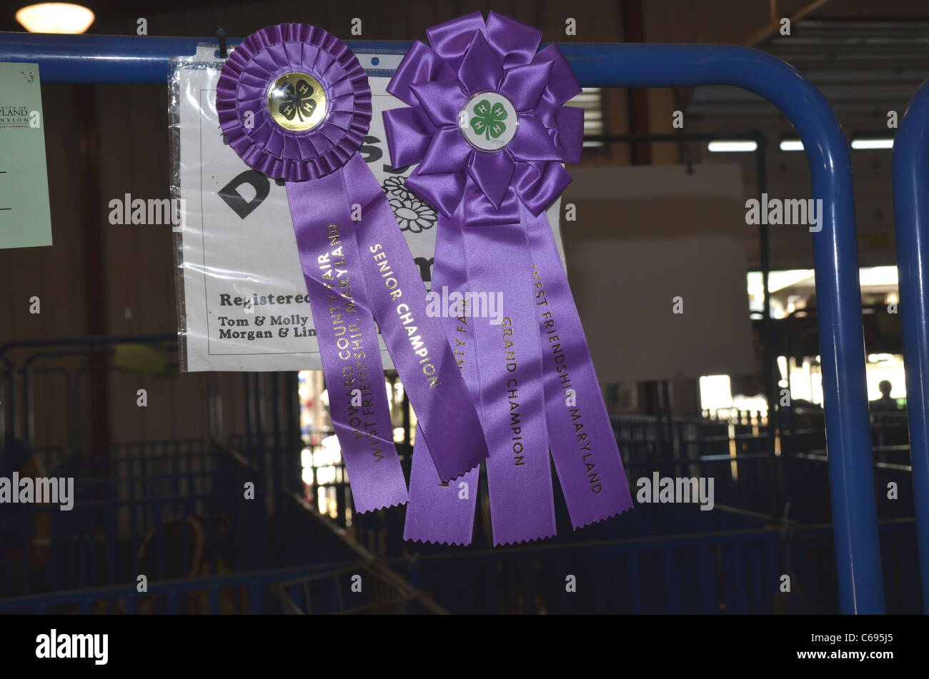Ribbons won in a County Fair hang from a pole Stock Photo - Alamy