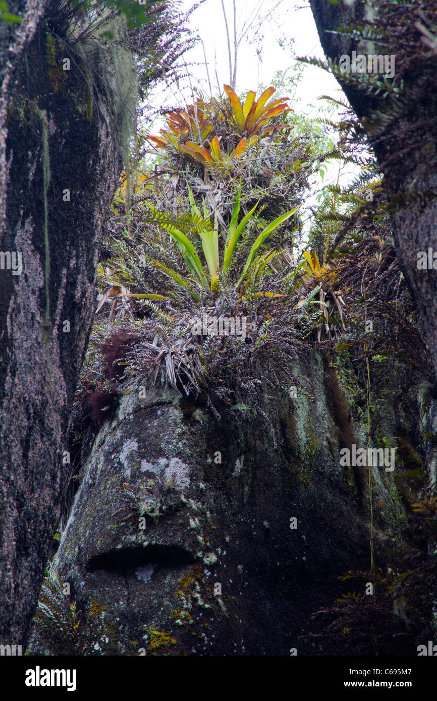 Carved rock face hi-res stock photography and images - Alamy