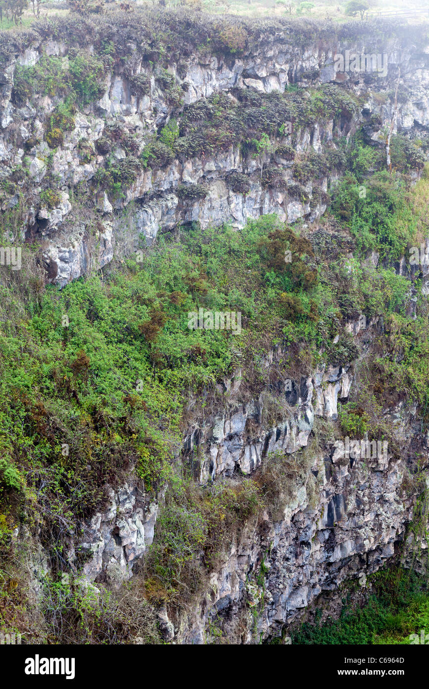 Sunken craters at Los Gemelos, Santa Rosa Highlands, Santa Cruz ...