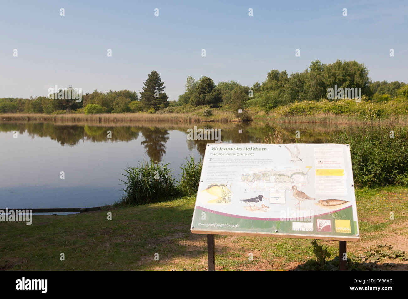 Holkham National Nature Reserve in Norfolk , England , Britain , Uk ...