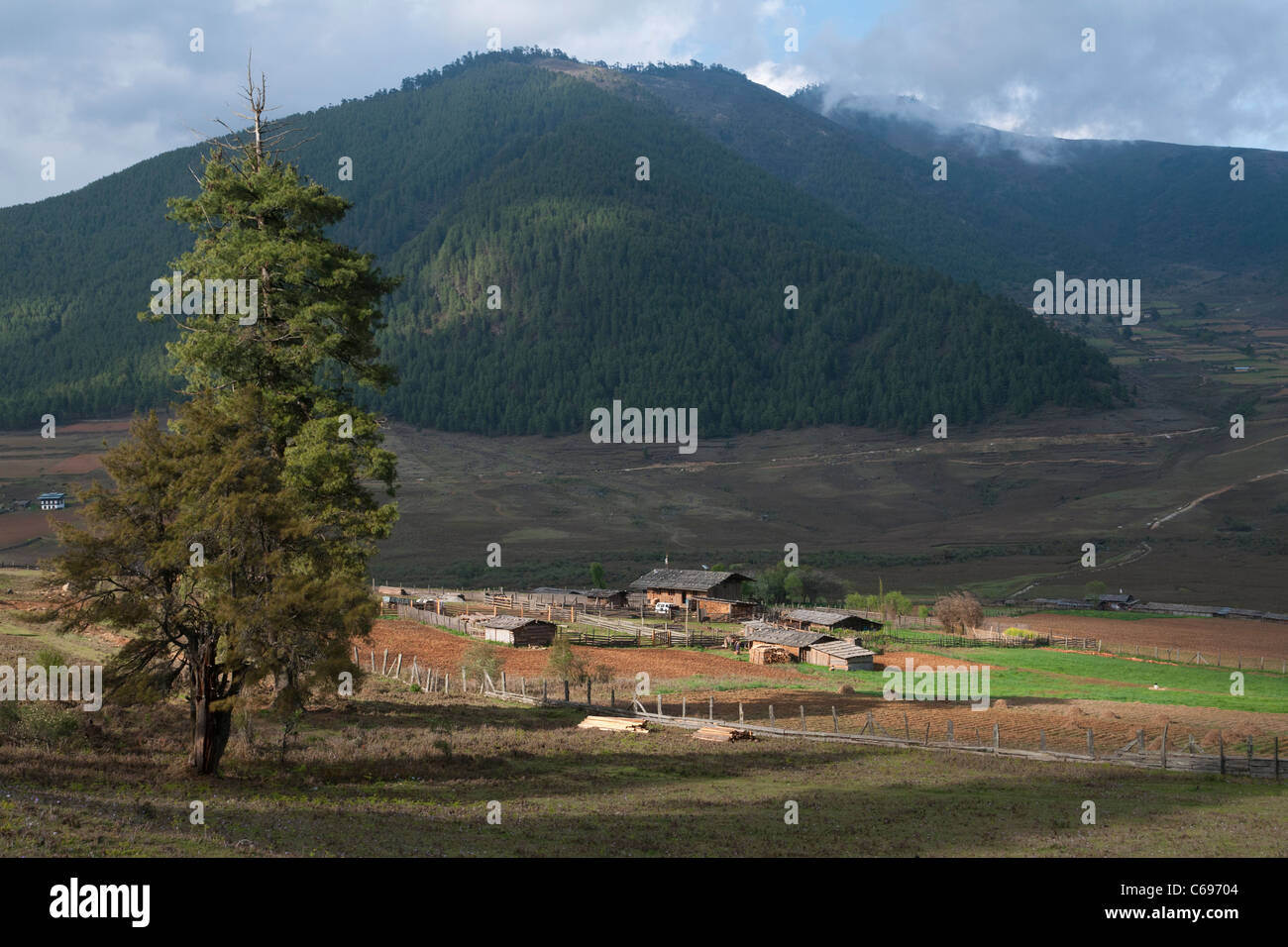 view with farm, fields and mountains in Phobjikha valley. Bhutan Stock ...