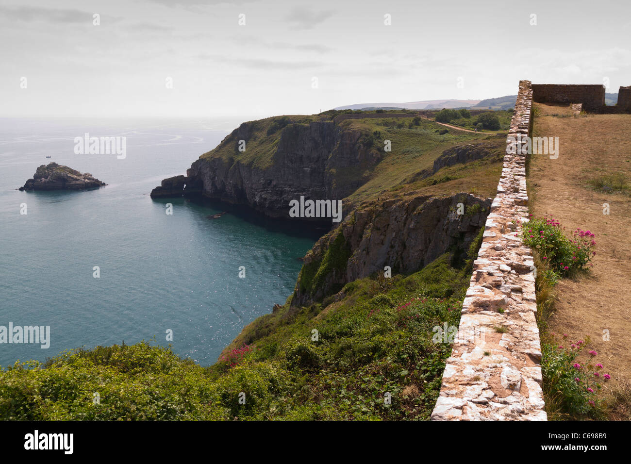 Berry head hi-res stock photography and images - Alamy