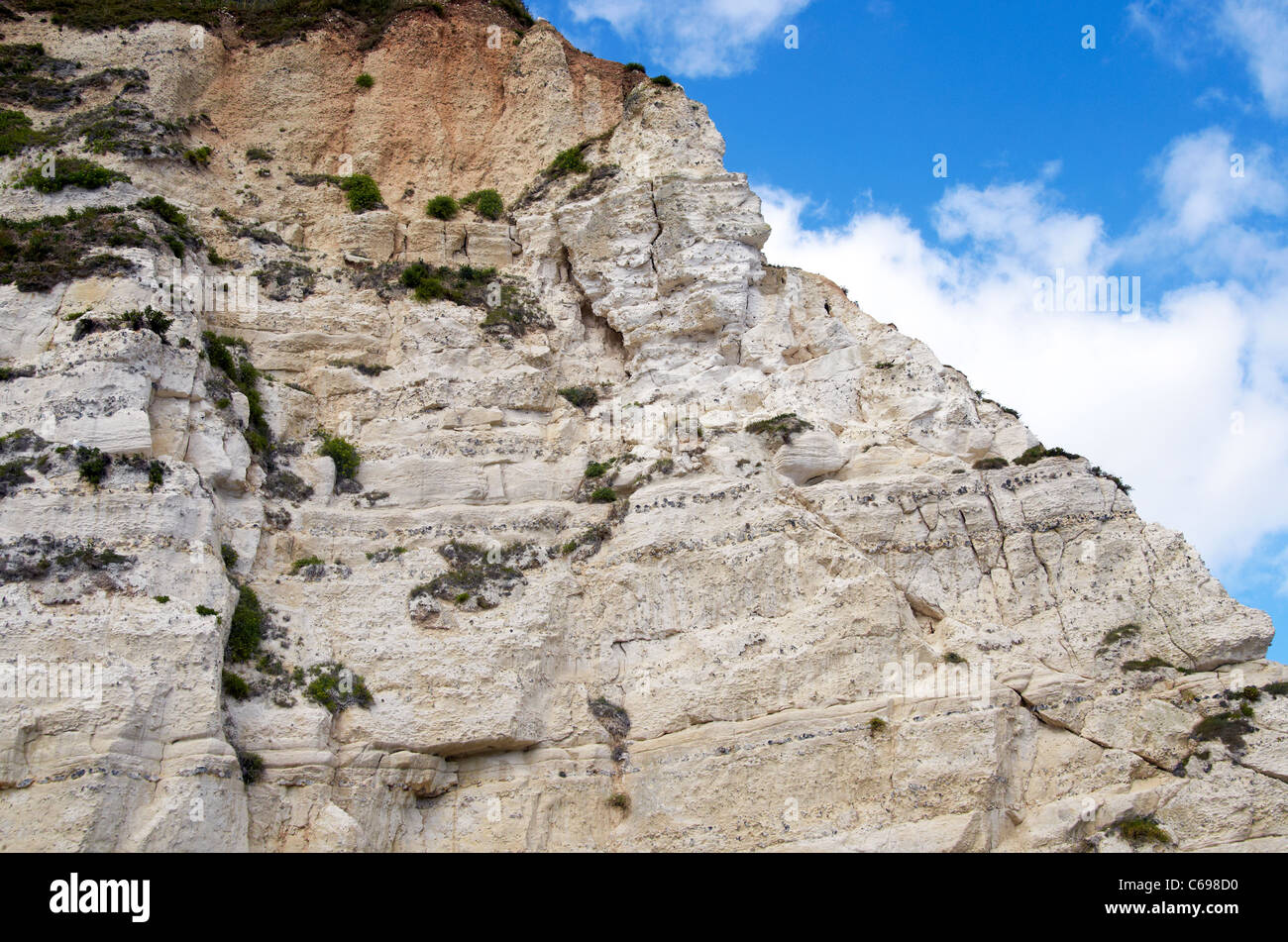 Chalk cliffs at the eastern end of the bay and beach at Beer, Devon ...