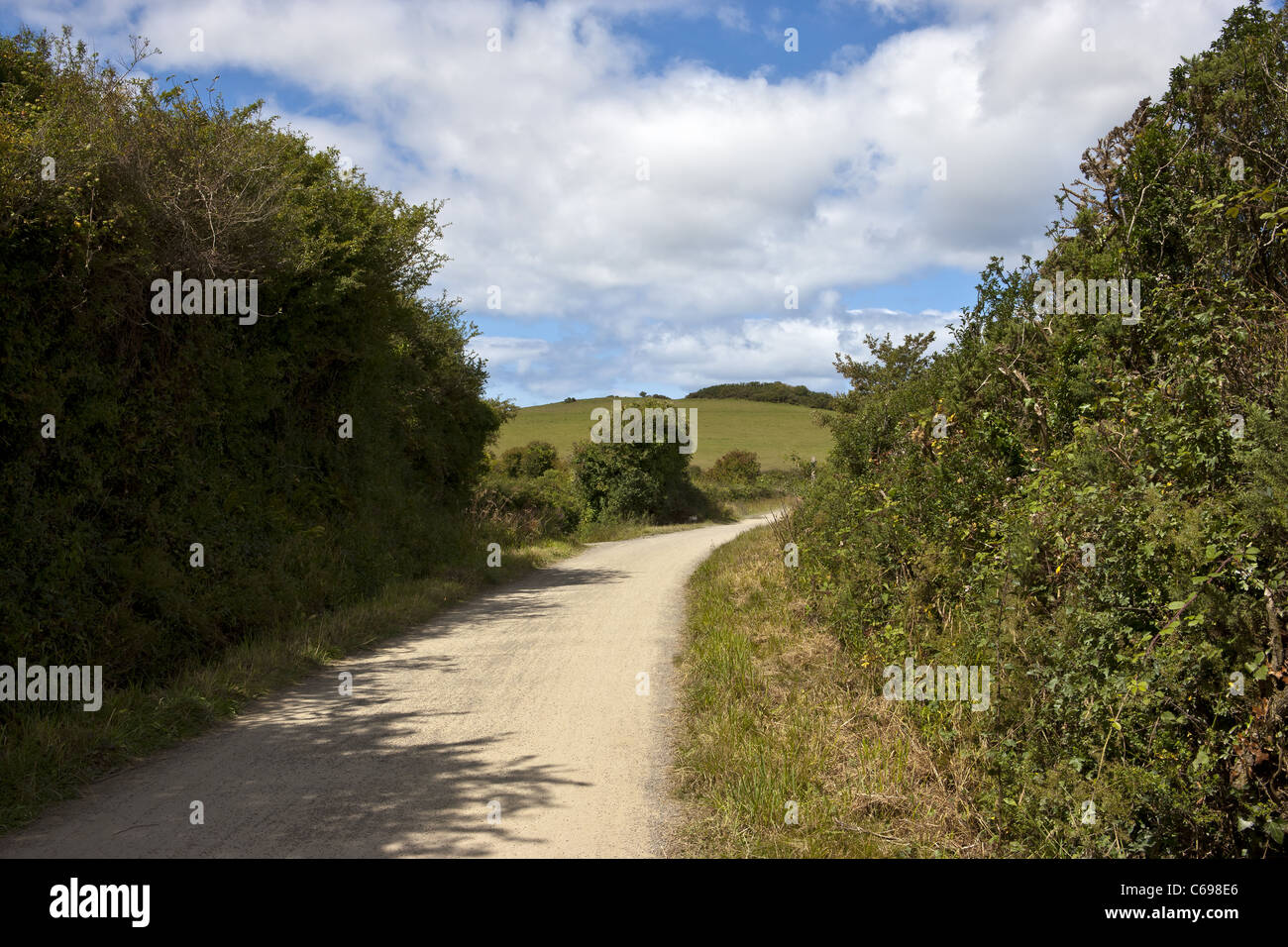 The Camel Trail, Cornwall Stock Photo - Alamy