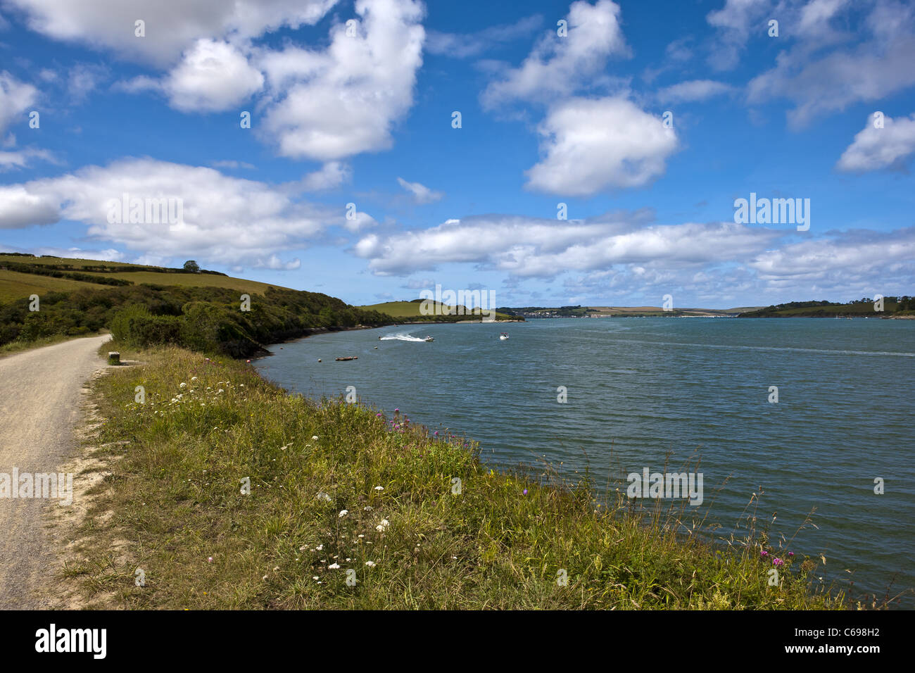 The Camel Trail, Cornwall Stock Photo - Alamy