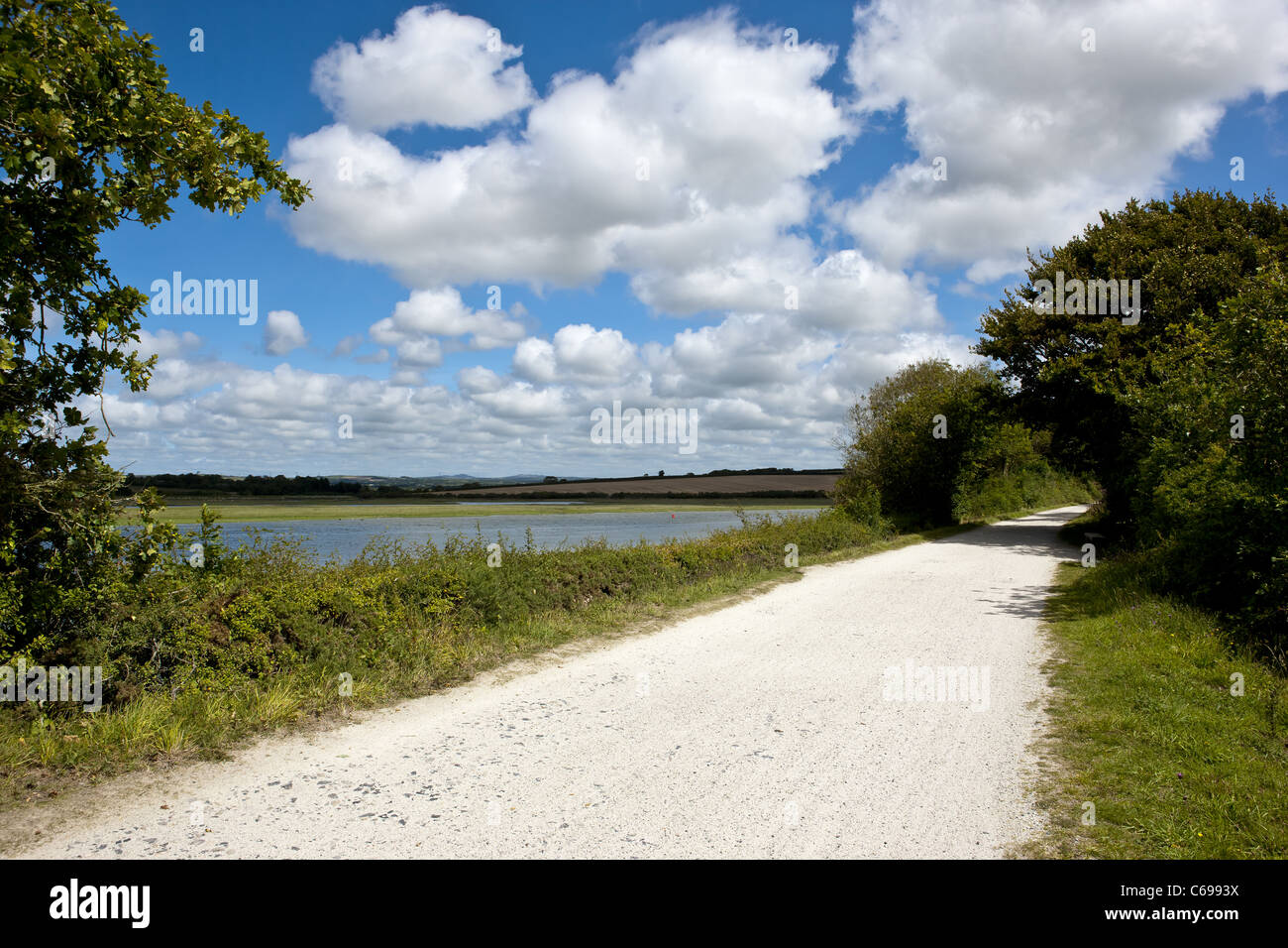 The Camel Trail, Cornwall Stock Photo - Alamy