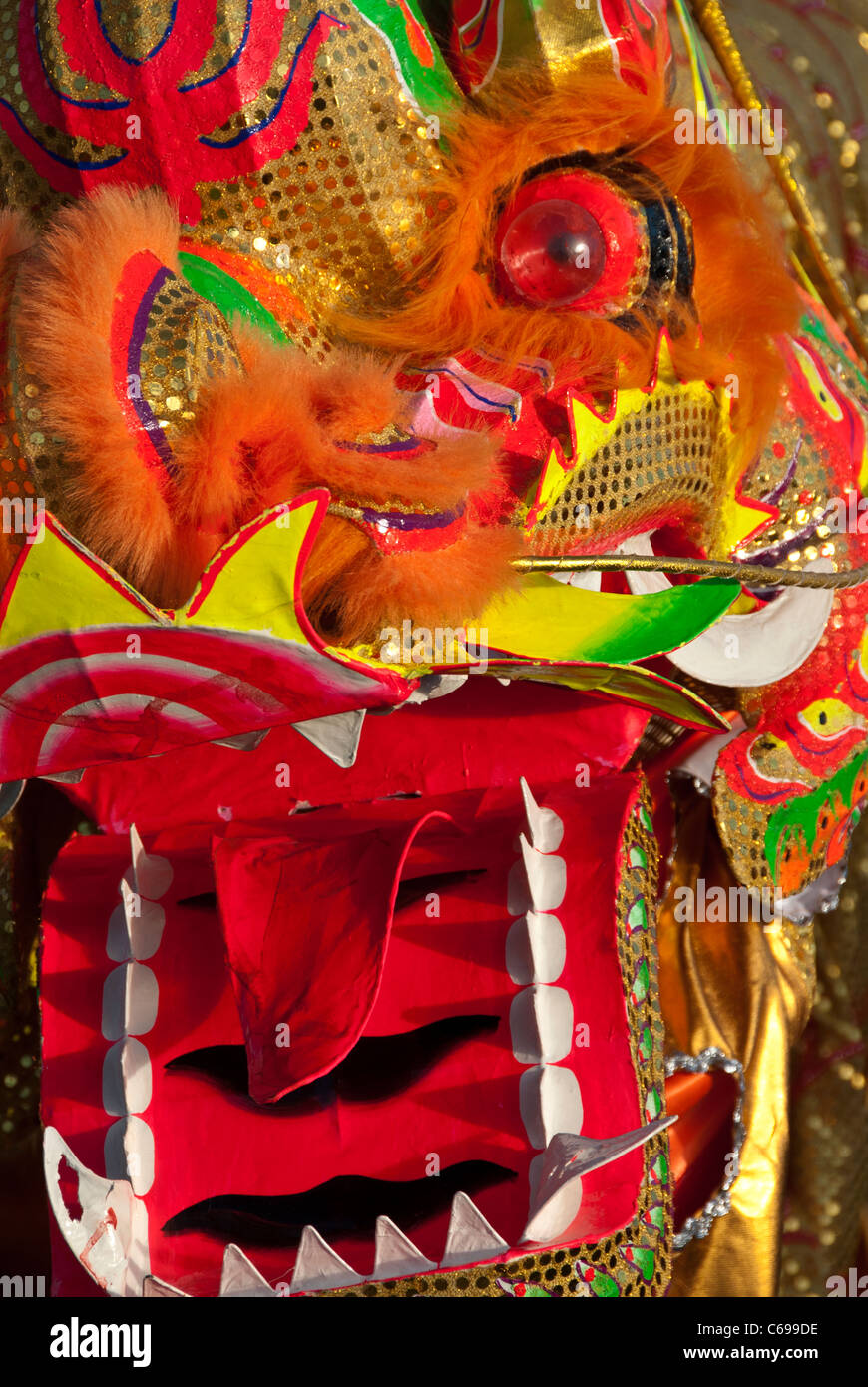 Dragon dancer in Calgary Alberta Stock Photo - Alamy