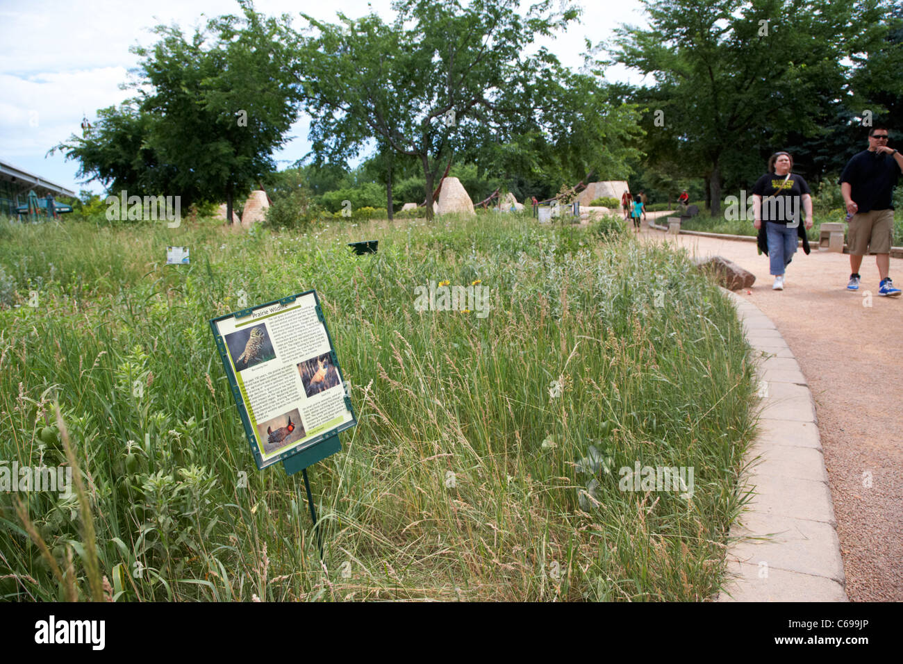 people walk along path in the tall grass prairie garden at the forks ...