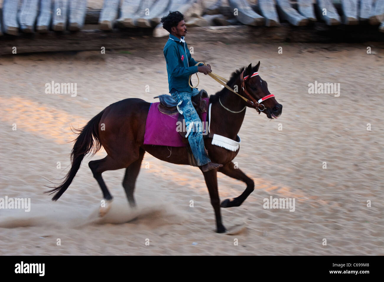 Indian horse rider hi-res stock photography and images - Alamy