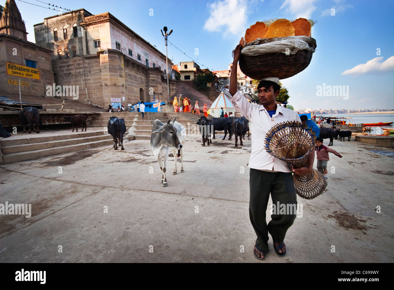 Indian man and a sacred cow hi-res stock photography and images - Alamy