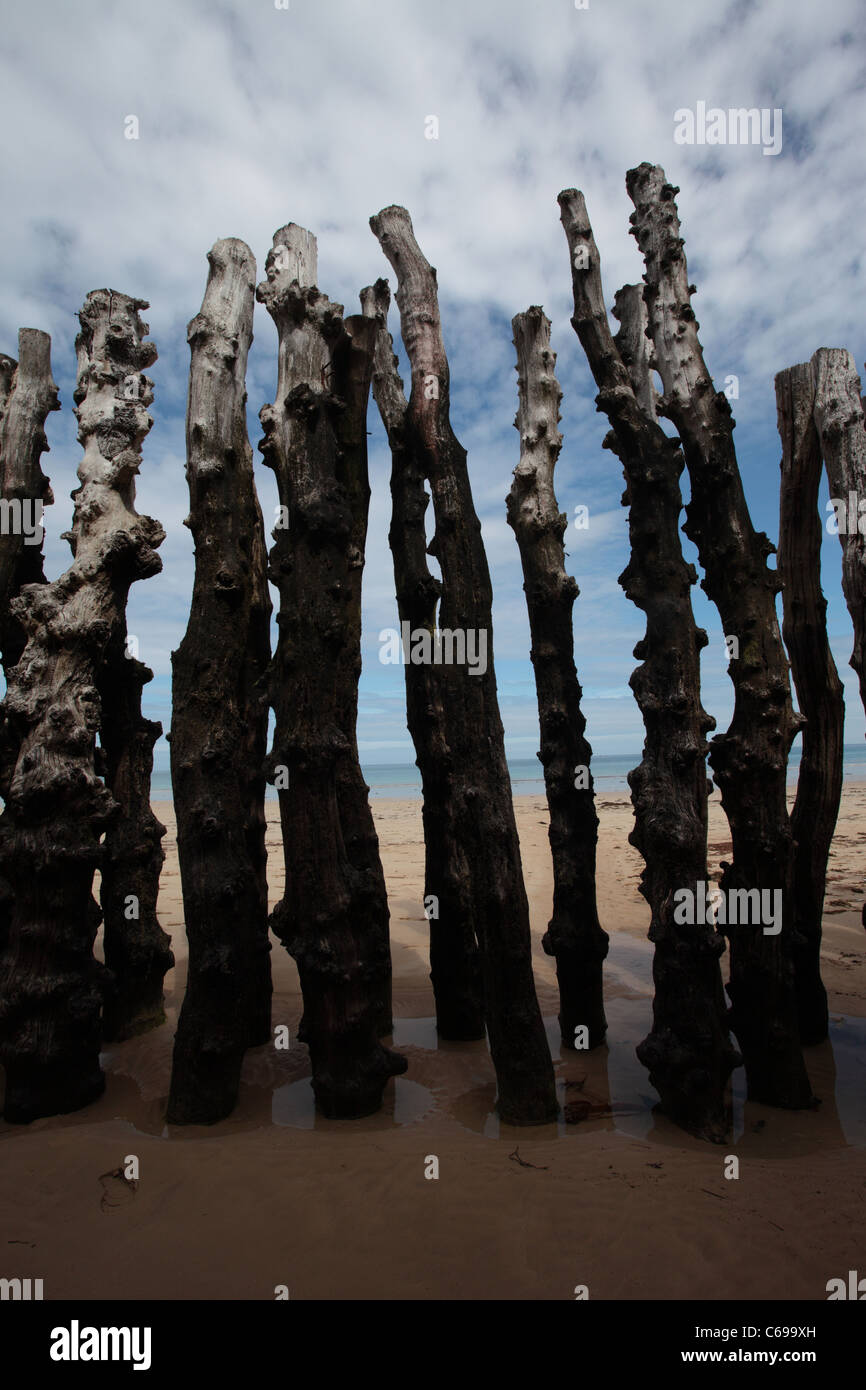 Sea wall and groynes hi-res stock photography and images - Alamy