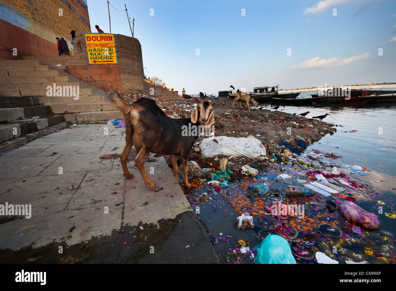 Ganges river pollution hi-res stock photography and images - Alamy
