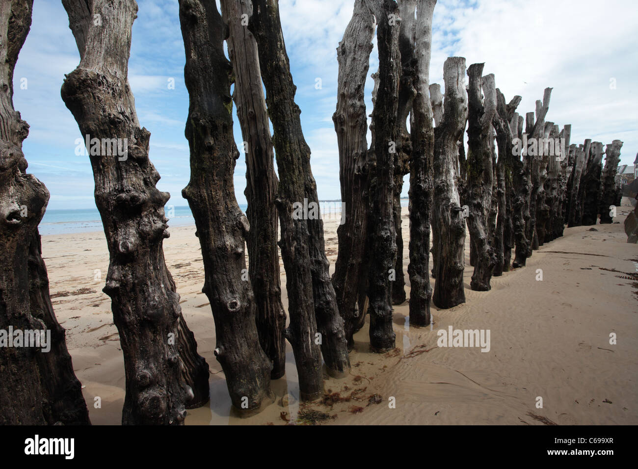 sea wall timber defence, st malo, brittany, france Stock Photo - Alamy
