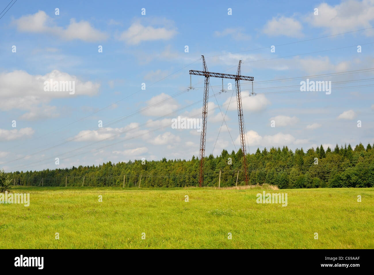 Cable tree hi-res stock photography and images - Alamy