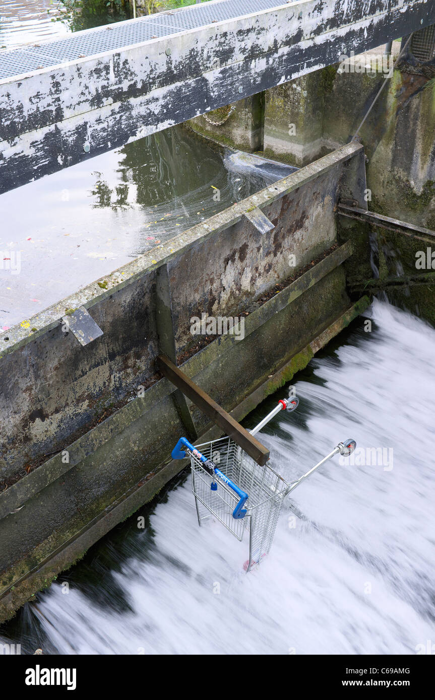 Supermarket trolley dumped in river Stock Photo - Alamy