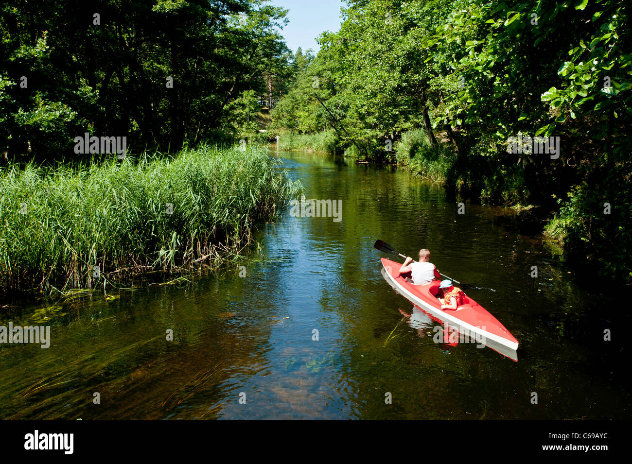 River Piasnica, Baltic sea coast, Debki, Poland Stock Photo - Alamy