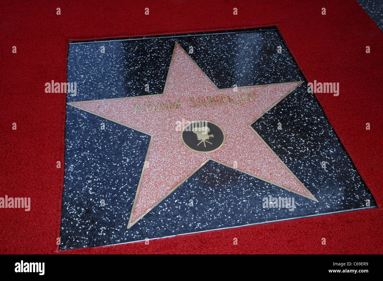Star on the Hollywood Walk of Fame Ceremony for Adam Sandler, Hollywood ...