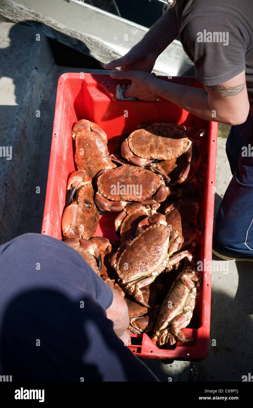 Trawlerman hi-res stock photography and images - Alamy
