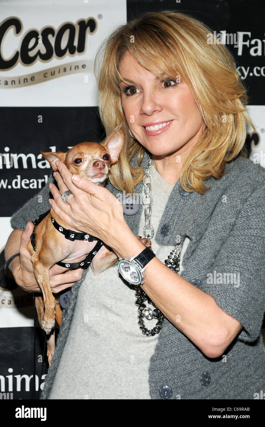 Housewives hi-res stock photography and images - Alamy