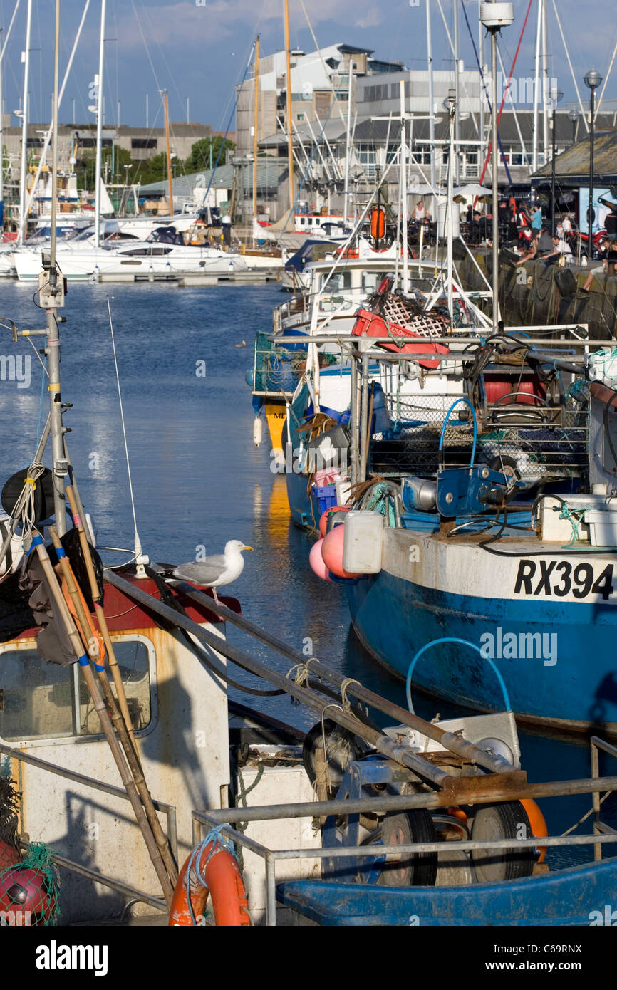 Fishing boats at Sutton Harbour, Barbican, Plymouth Stock Photo - Alamy