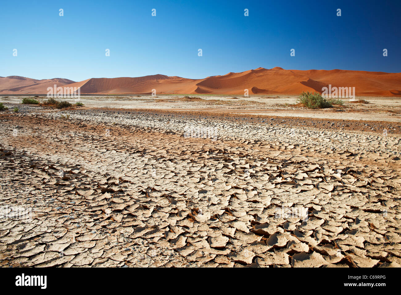 Parched Ground Stock Photos & Parched Ground Stock Images - Alamy