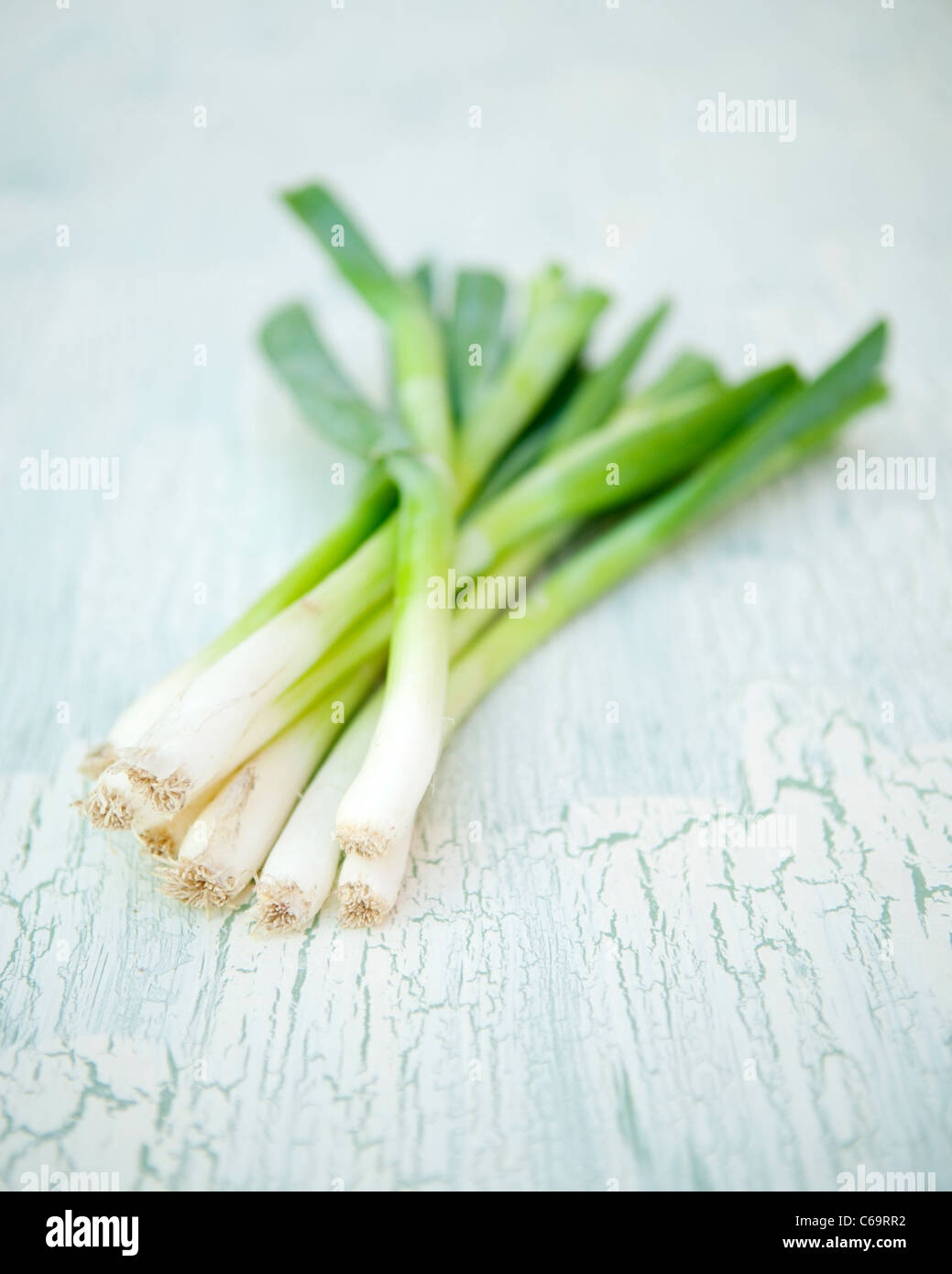 Bunch of spring onions hi-res stock photography and images - Alamy