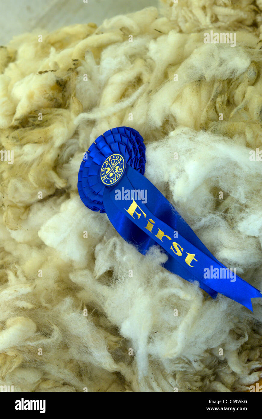 A first prize rosette proudly displayed on the winning fleece at a ...