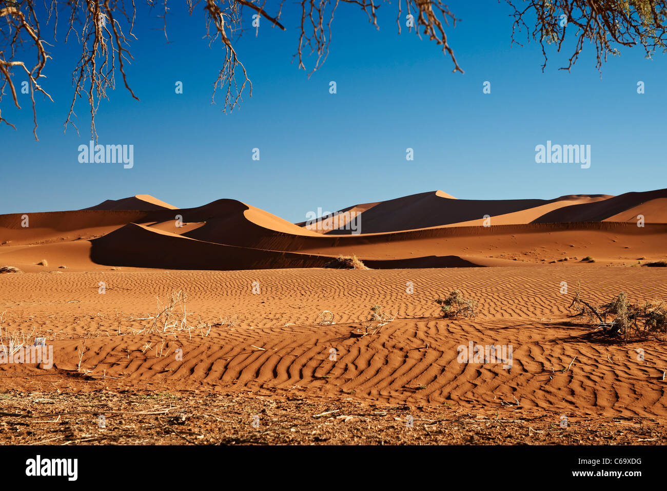desert landscape of Namib at Sossusvlei, Namib-Naukluft National Park ...
