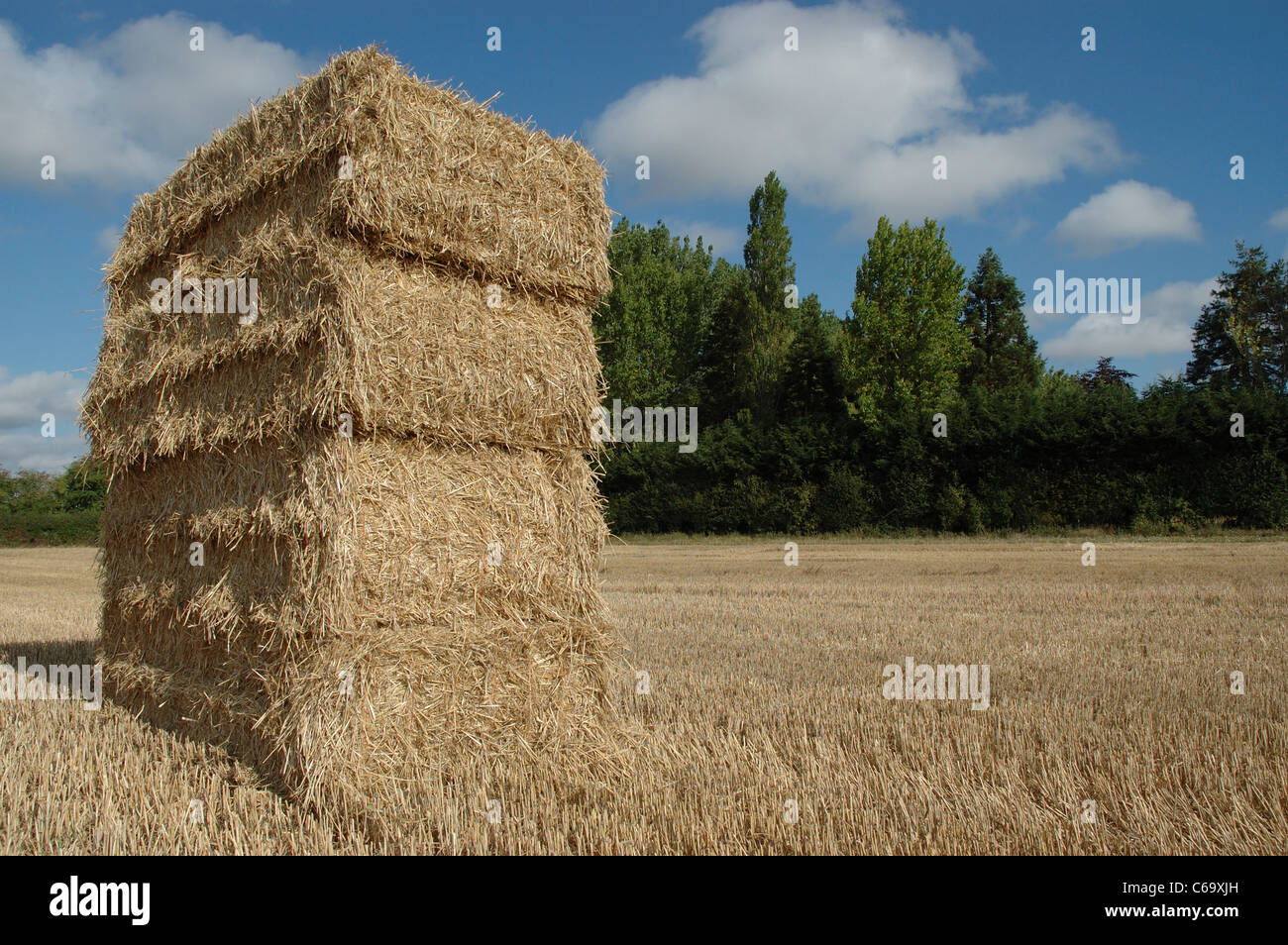 Haystack in a field Stock Photo - Alamy