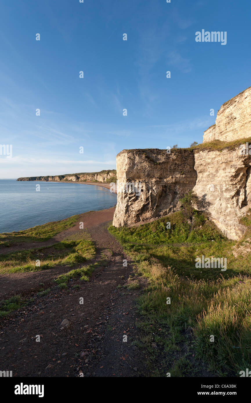 Wop heritage hi-res stock photography and images - Alamy