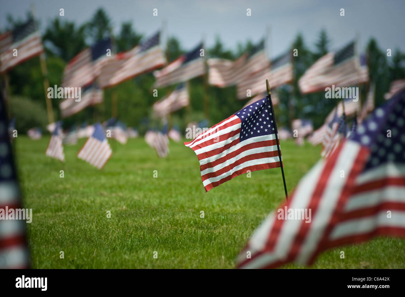 American Flags In Veterans Cemetery On Memorial Day, Pennsylvania, USA ...