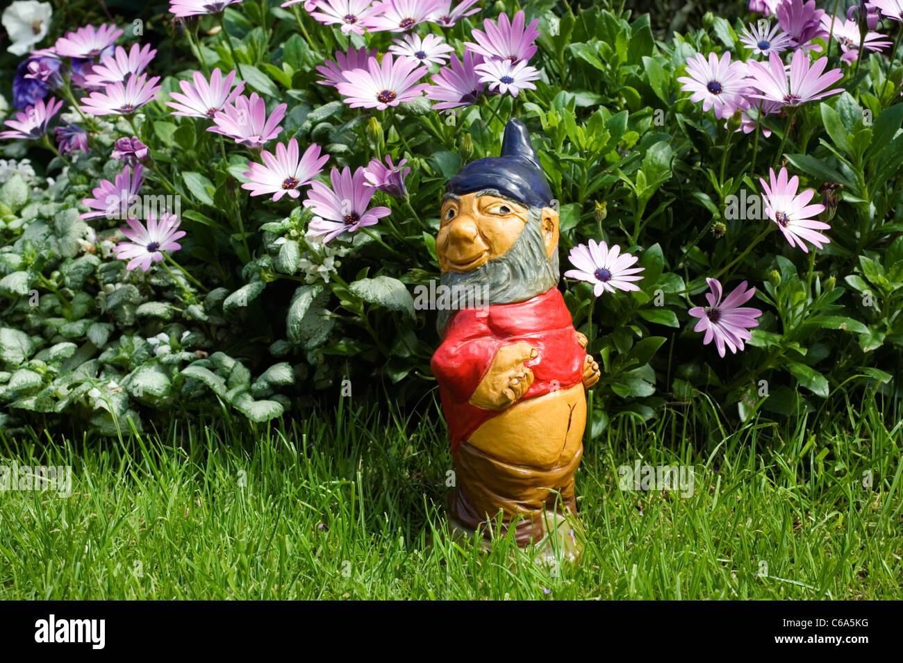 cheeky rude gnome in residential garden Stock Photo - Alamy