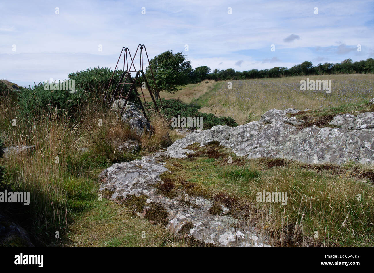 An old metal step stile on a path near Llyn Traffwll, Anglesey, Wales ...