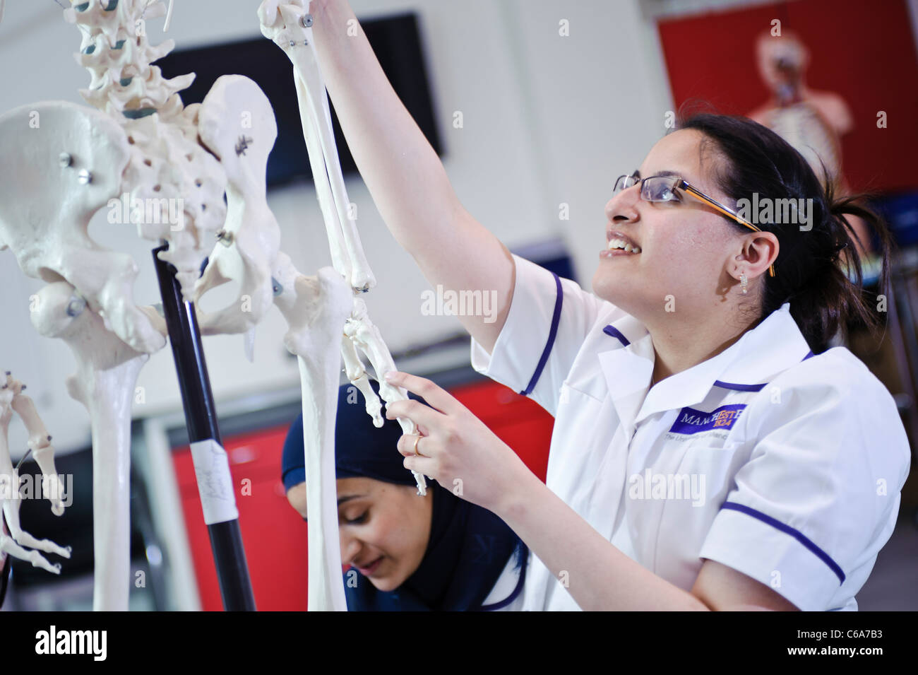 Human female skeleton hi-res stock photography and images - Alamy