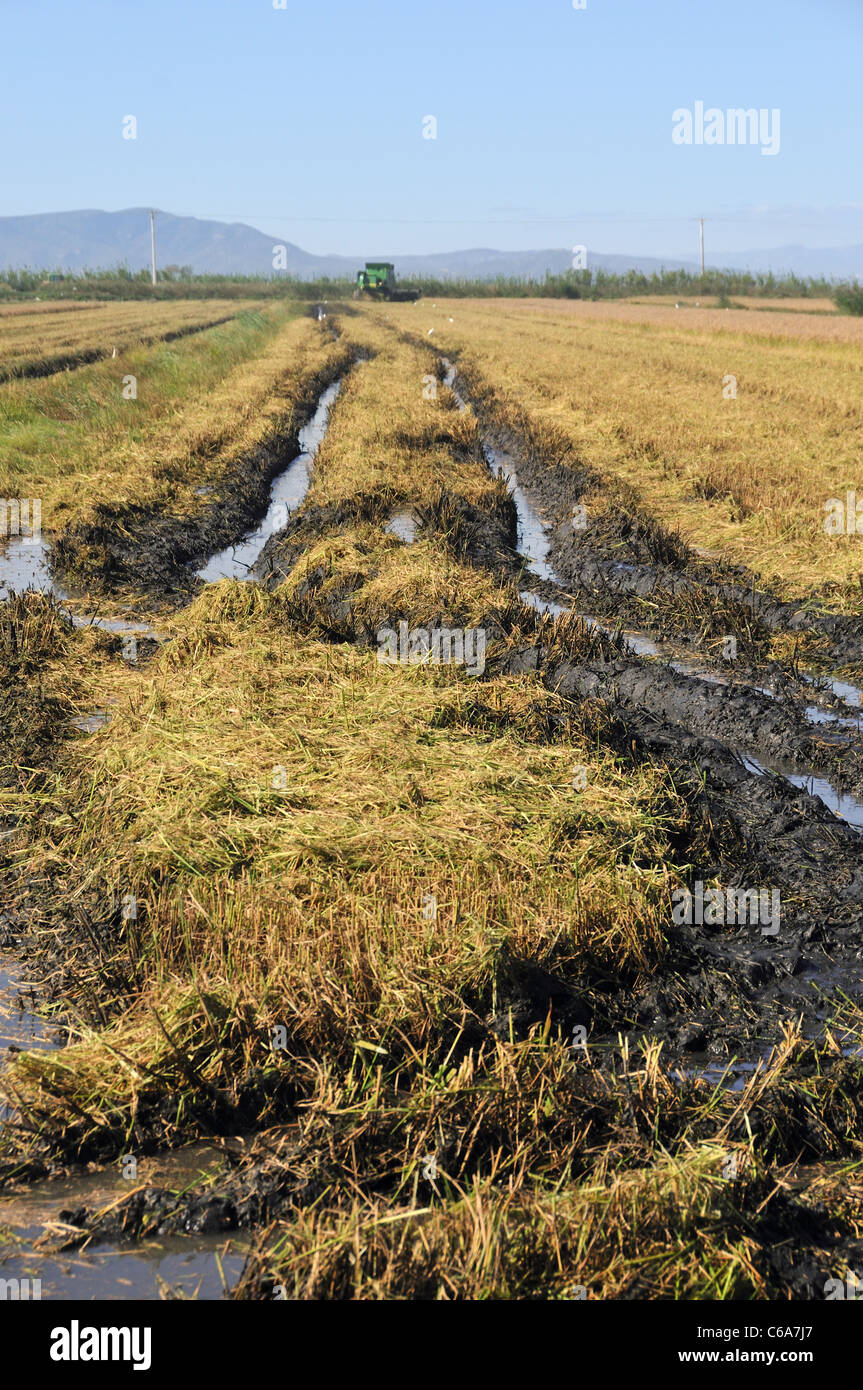 Delta harvester hi-res stock photography and images - Alamy