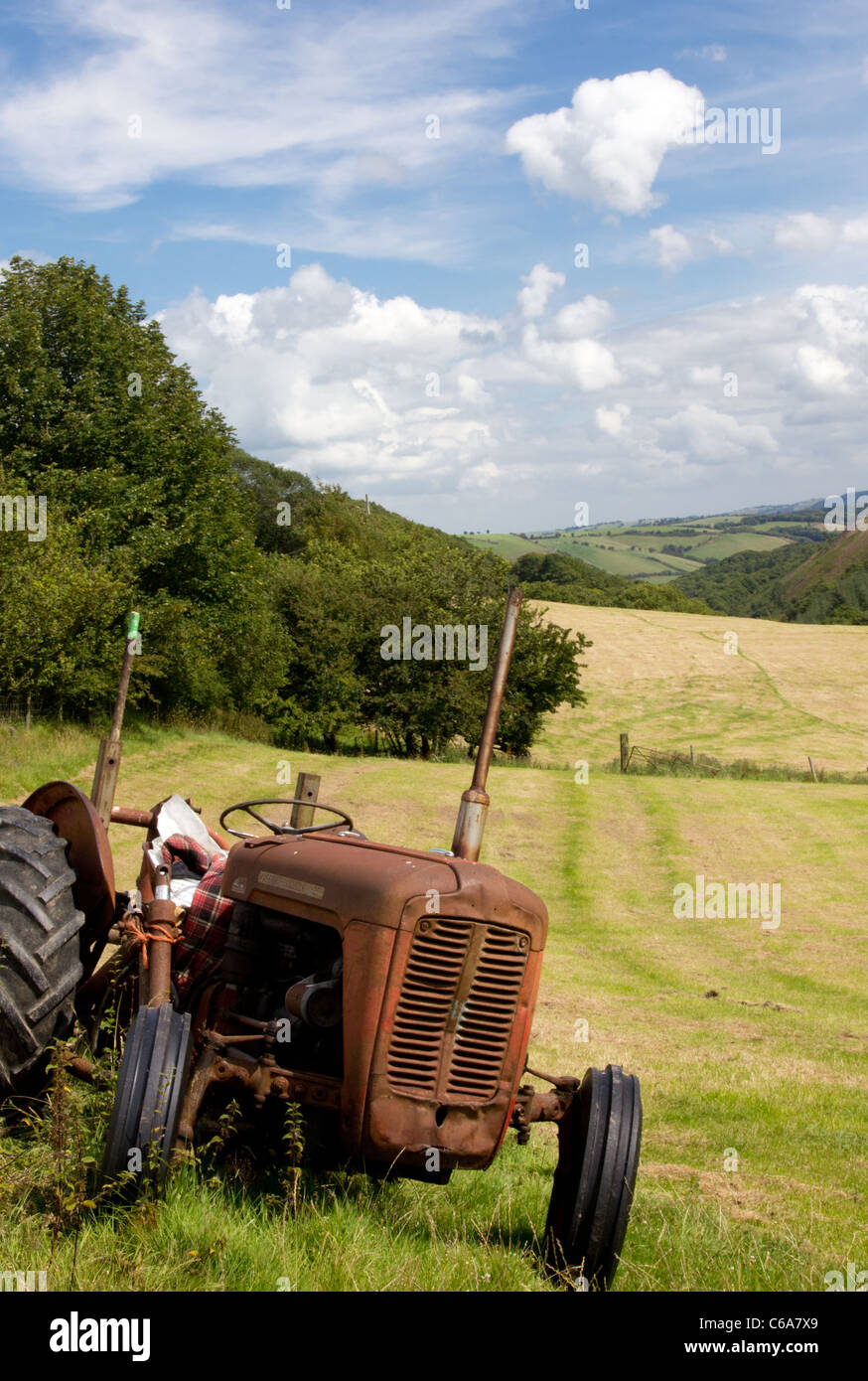 Rusty Massey Ferguson 35 tractor Stock Photo - Alamy