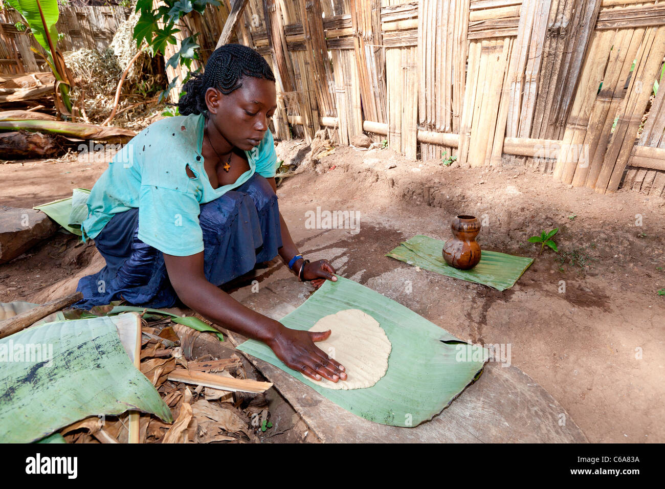 Enset hi-res stock photography and images - Alamy