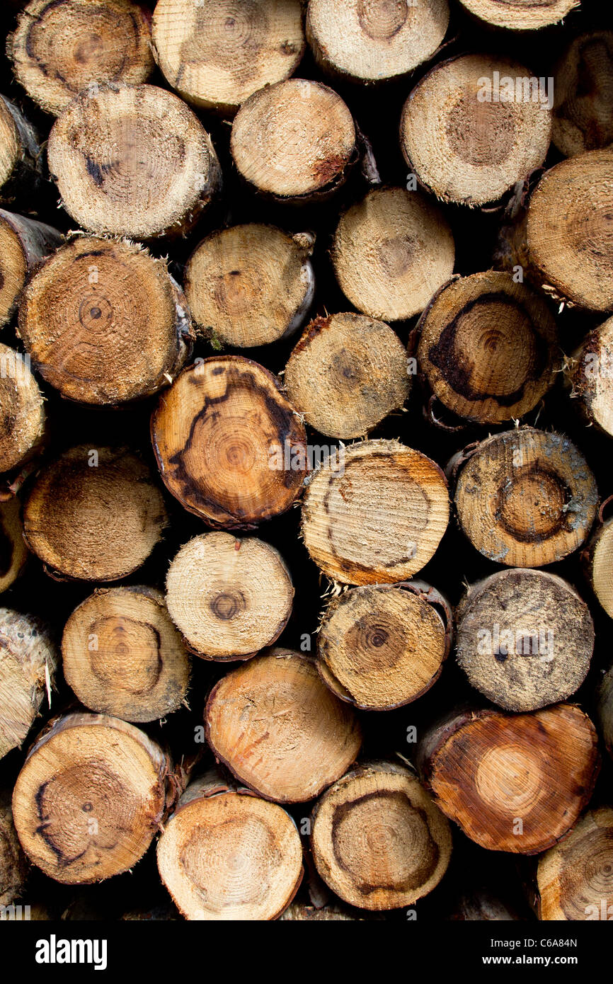 Felled timber at Goginan, mid Wales Stock Photo - Alamy