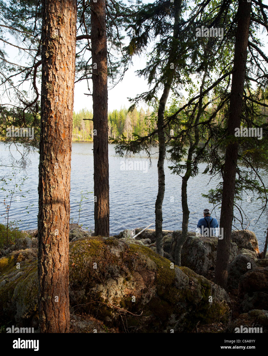 Elderly man fishing at a forest lake , Finland Stock Photo - Alamy