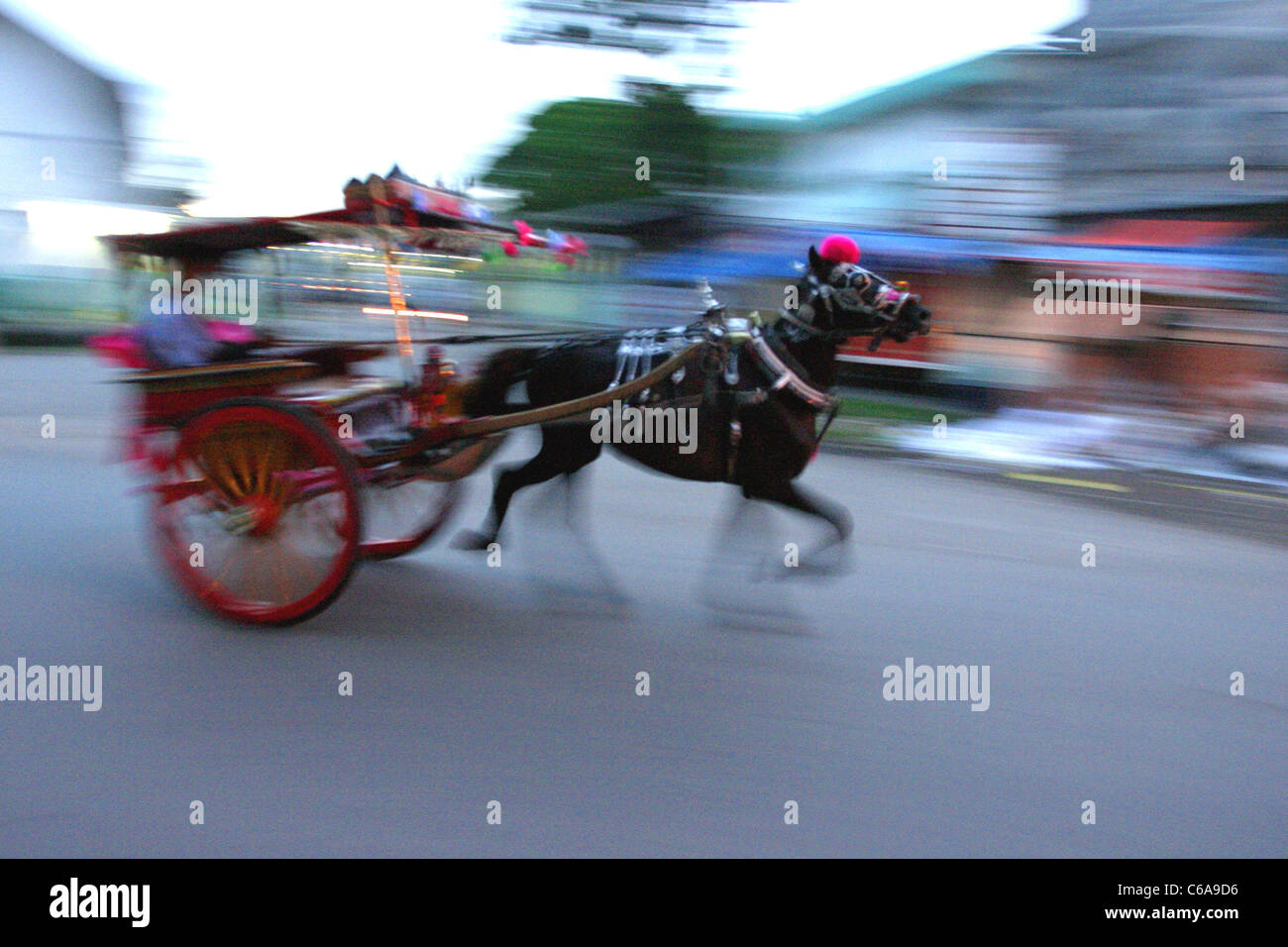 A colorful dokar pacing the streets of the city. Padang, Sumatra ...